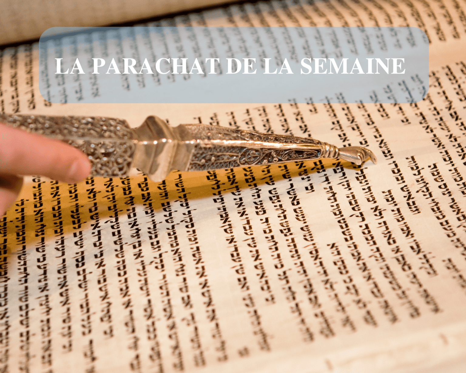 La paracha de la semaine Parachat NOAH - Centre Socio Educatif du Barry